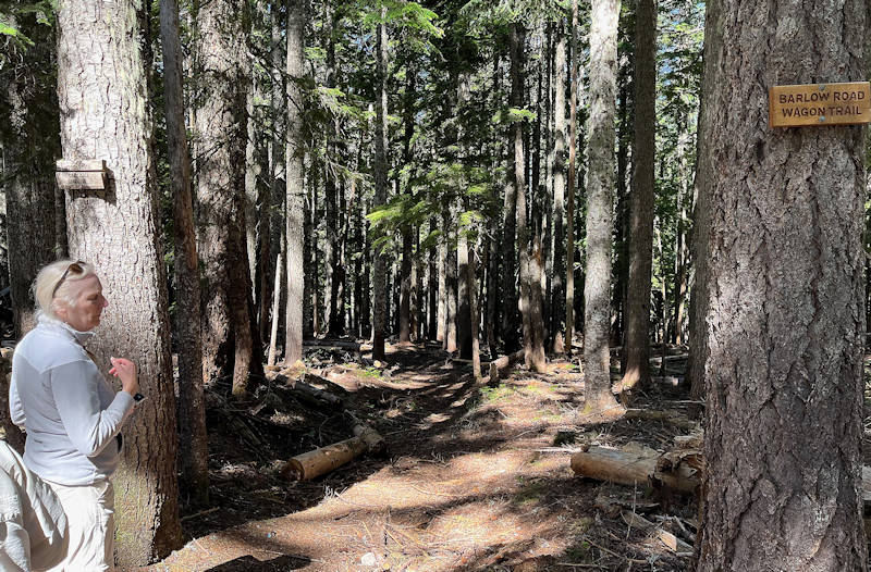 Photos - Mountain High Snowsport Club, Portland, Oregon ski club